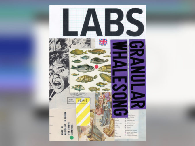 Spitfire Intros LABS Trumpet Fields, Free Atmospheric Virtual Instrument