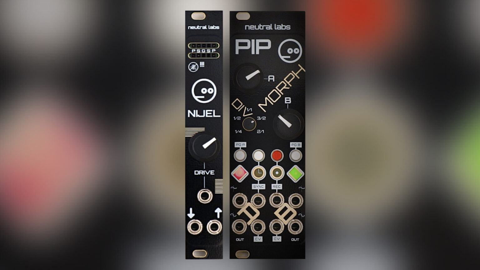 Neutral Labs new modules: Nijel customizable distortion and PIP dual morphing CV generator