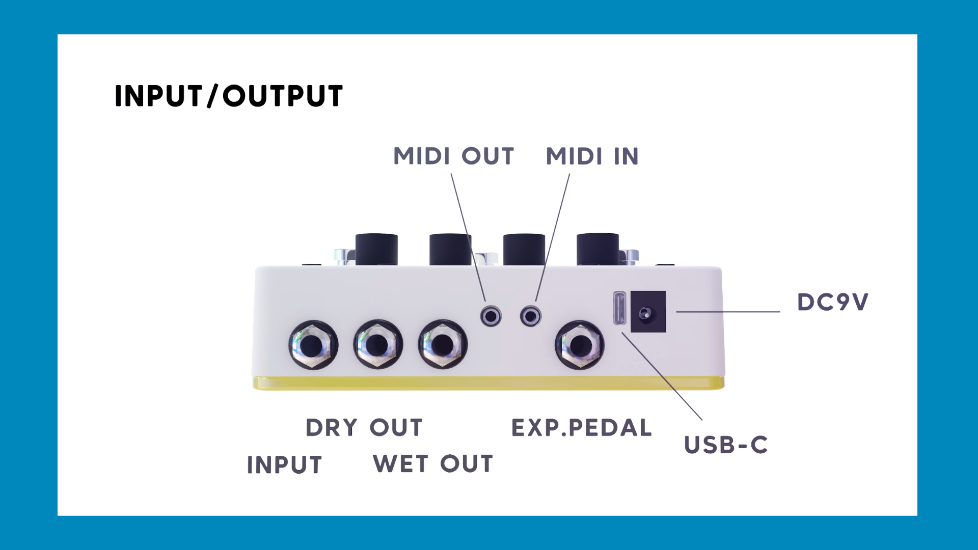 Bananana Effects Quimera Synthesizer - SYNTH ANATOMY